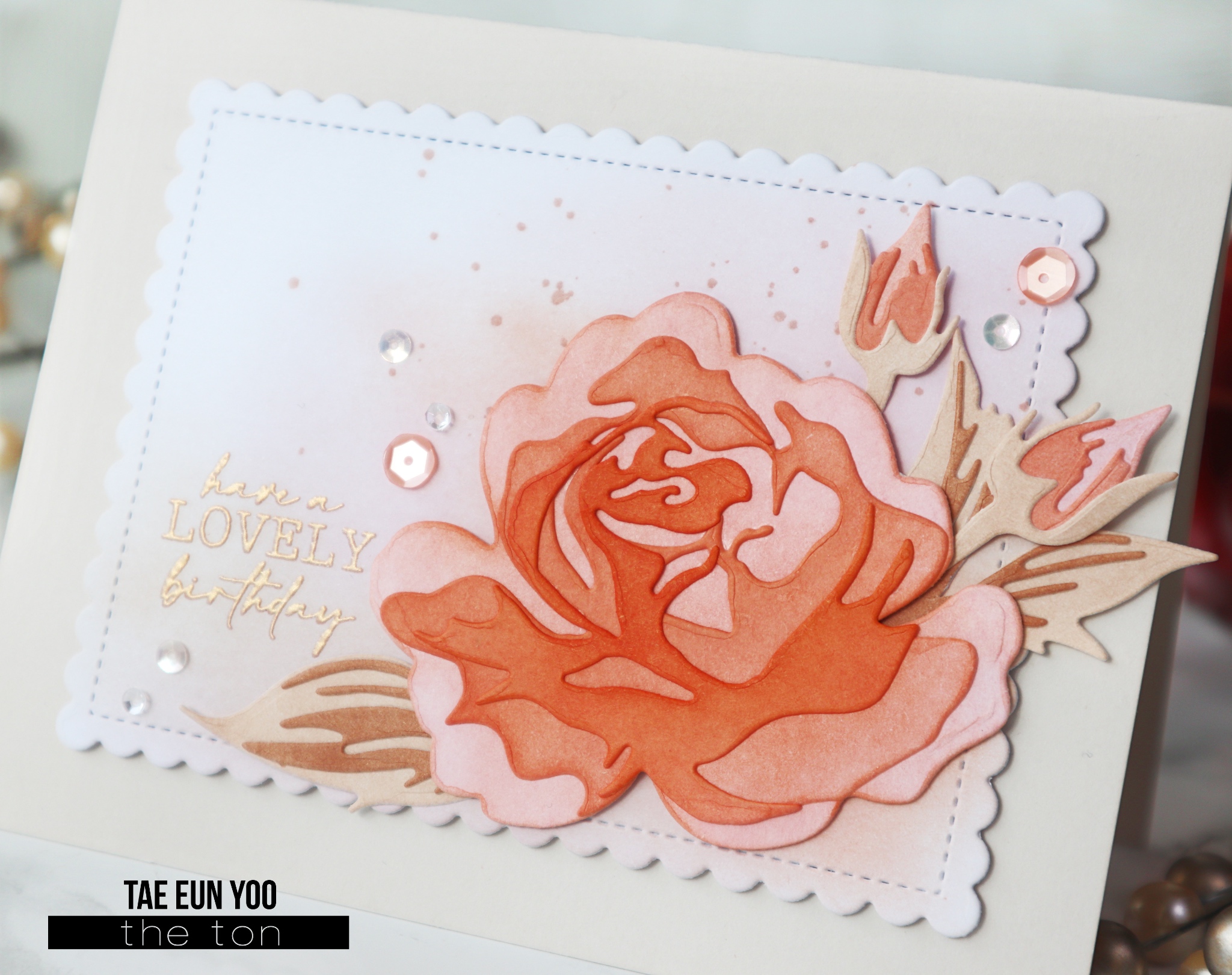 Coral Radiant Roses – The Season