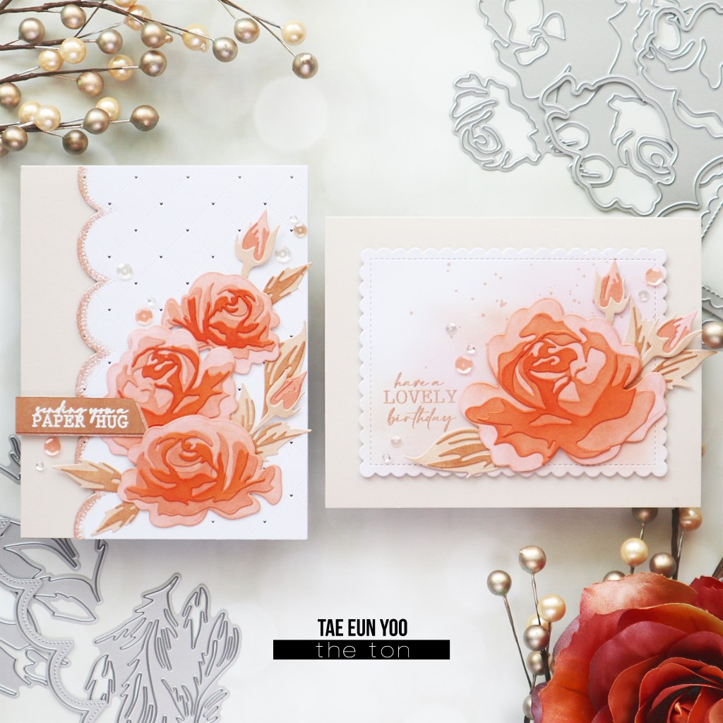 Coral Radiant Roses – The Season