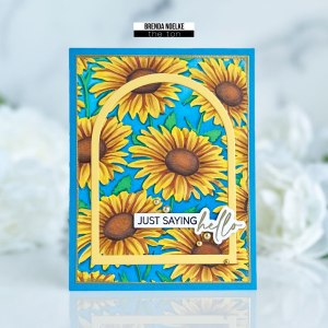 Just Saying Hello – Darling Daisies – The Season